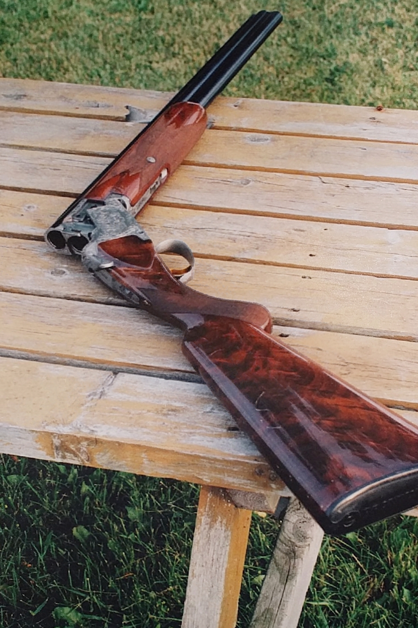 1479656337381-0112da01-db85-443f-afa2-066f78b06656_.jpg | Windswept Farm