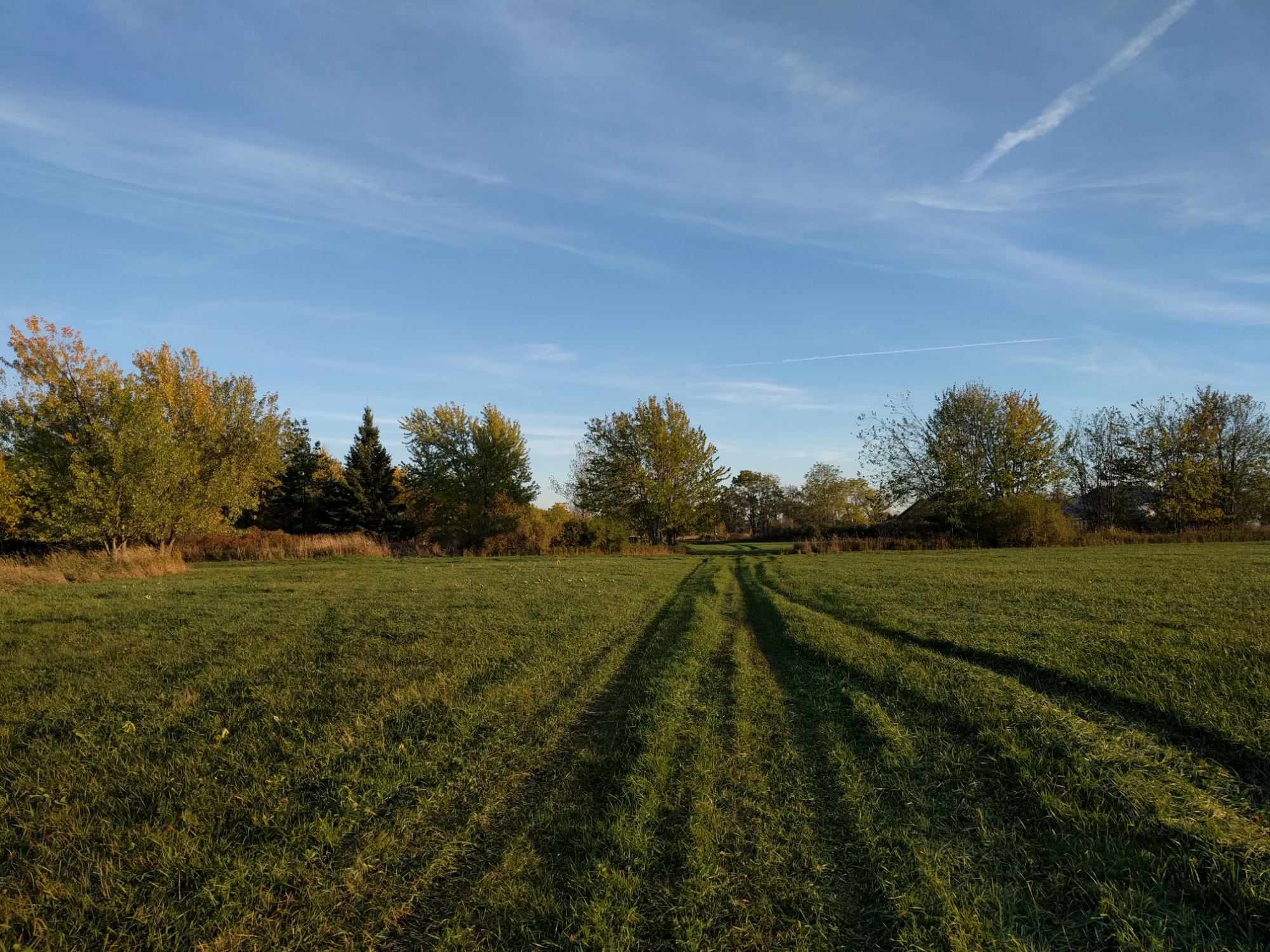 wp-image-2127198619jpg.jpg | Windswept Farm