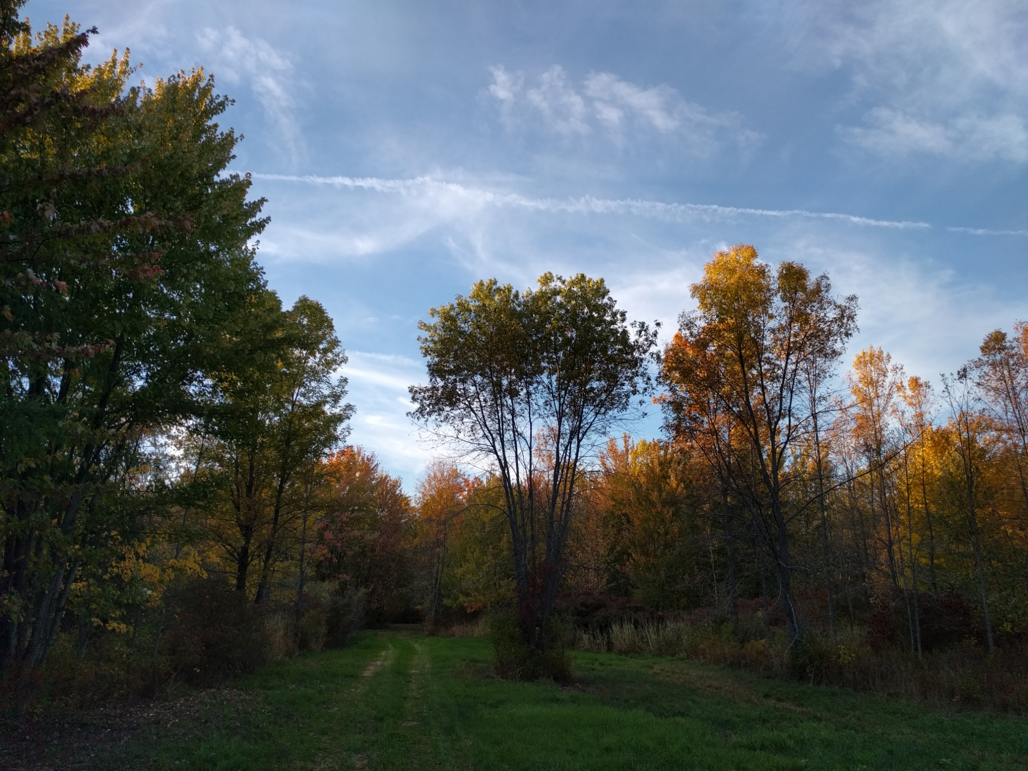wp-image-860736670jpg.jpg | Windswept Farm